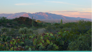 Lab of Conservation Ecology | School of Earth & Sustainability ...